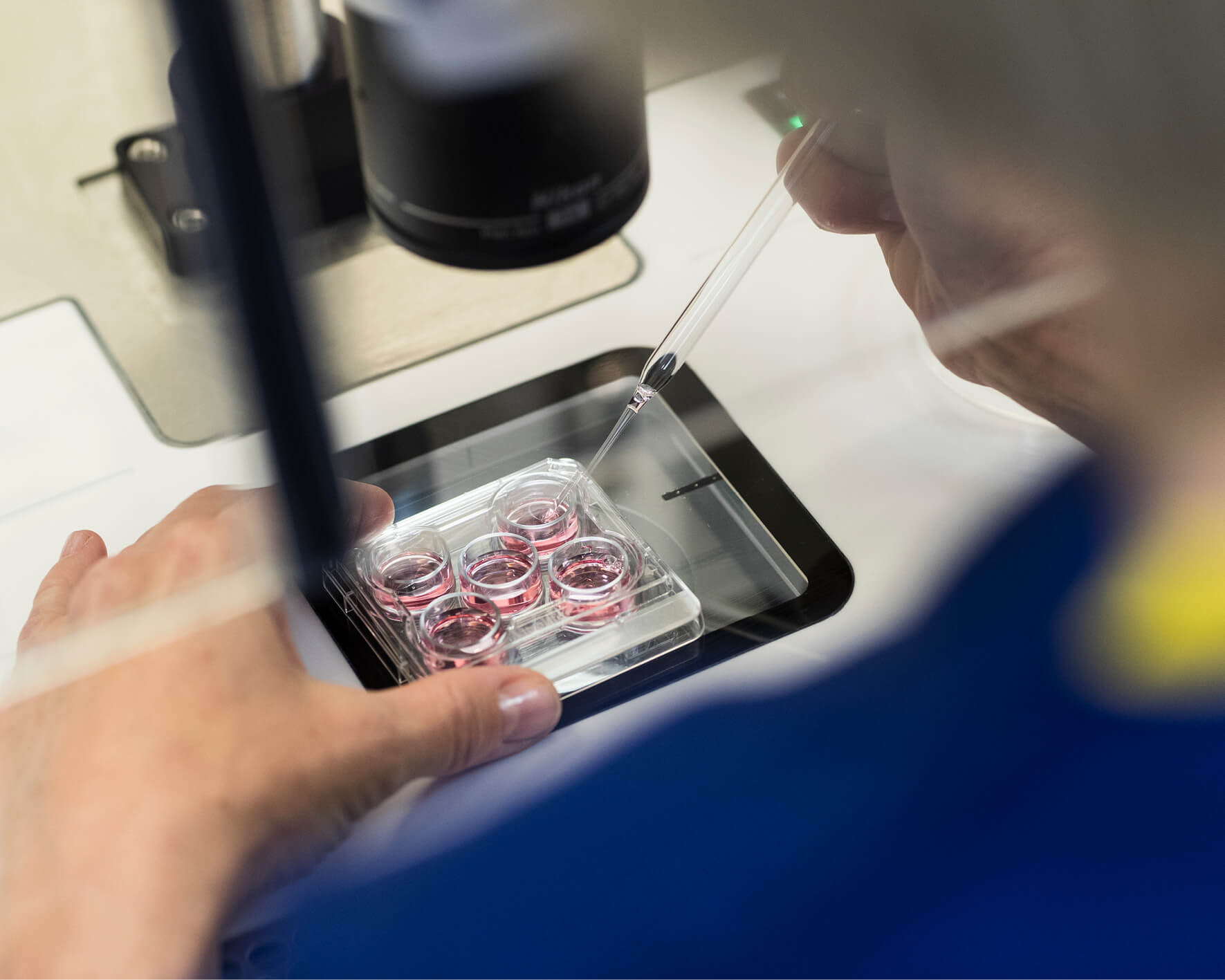 What Is Natural IVF & Mild Stimulation IVF | IVF London | The Evewell