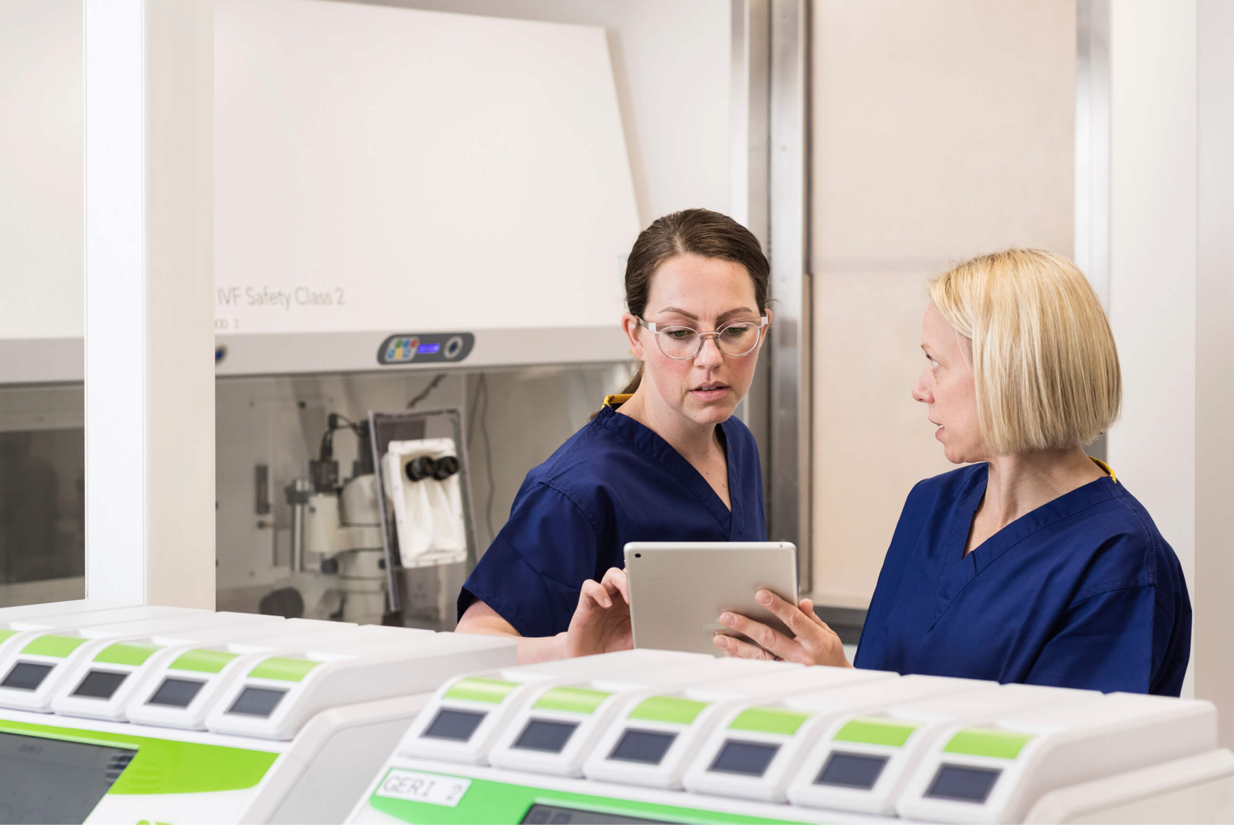 Embryo grading; the full low-down | IVF London | The Evewell